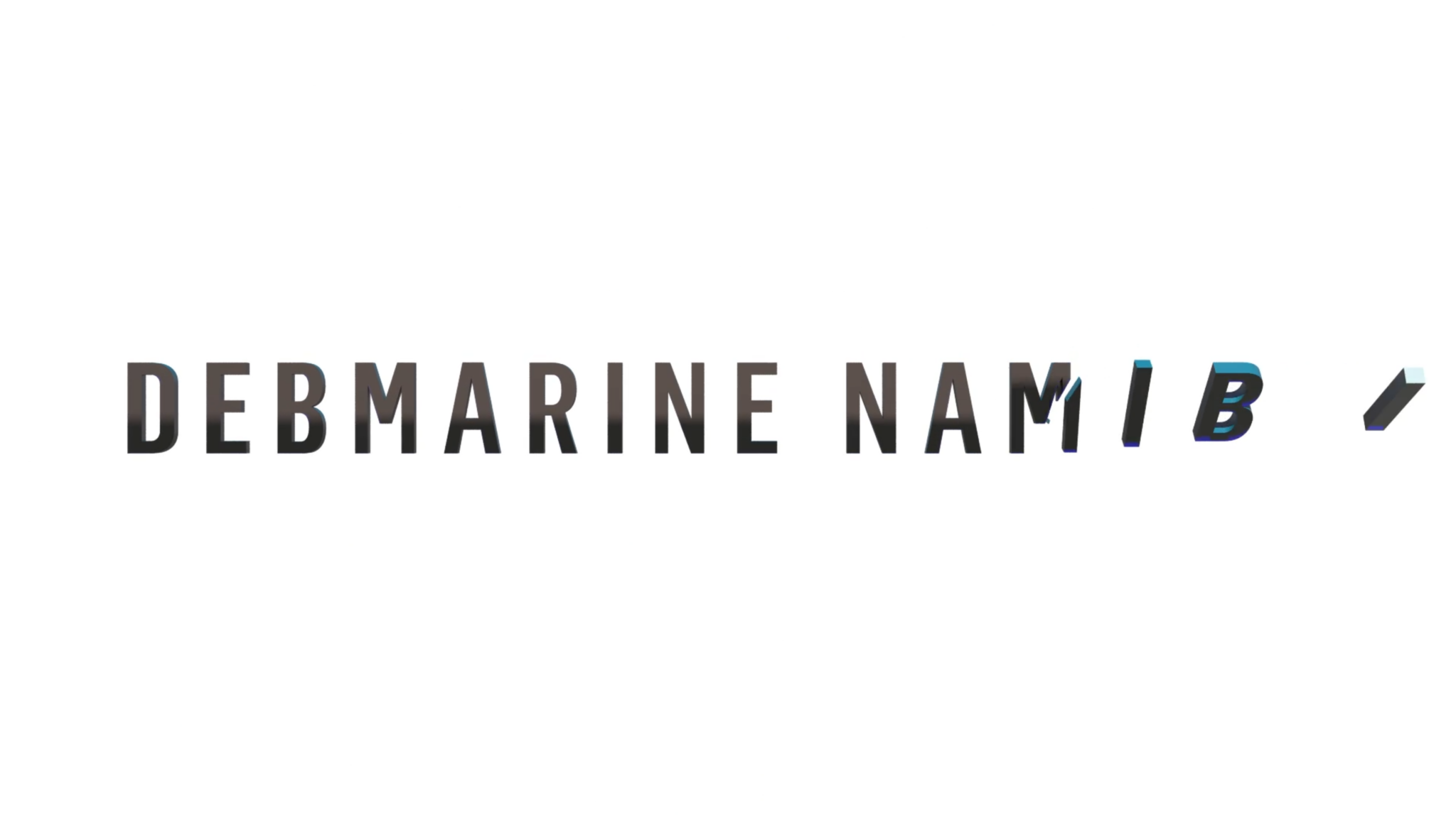 Debmarine Namibia – Bridging the Gap Youth Programme Infographic ...